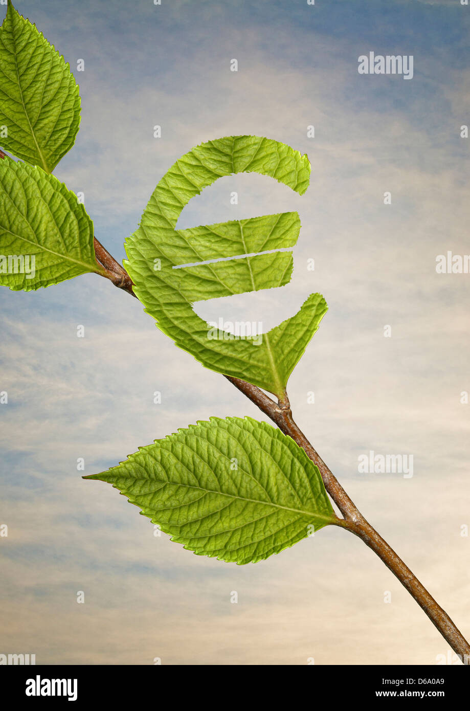 Leaf cut into Euro sign Stock Photo - Alamy