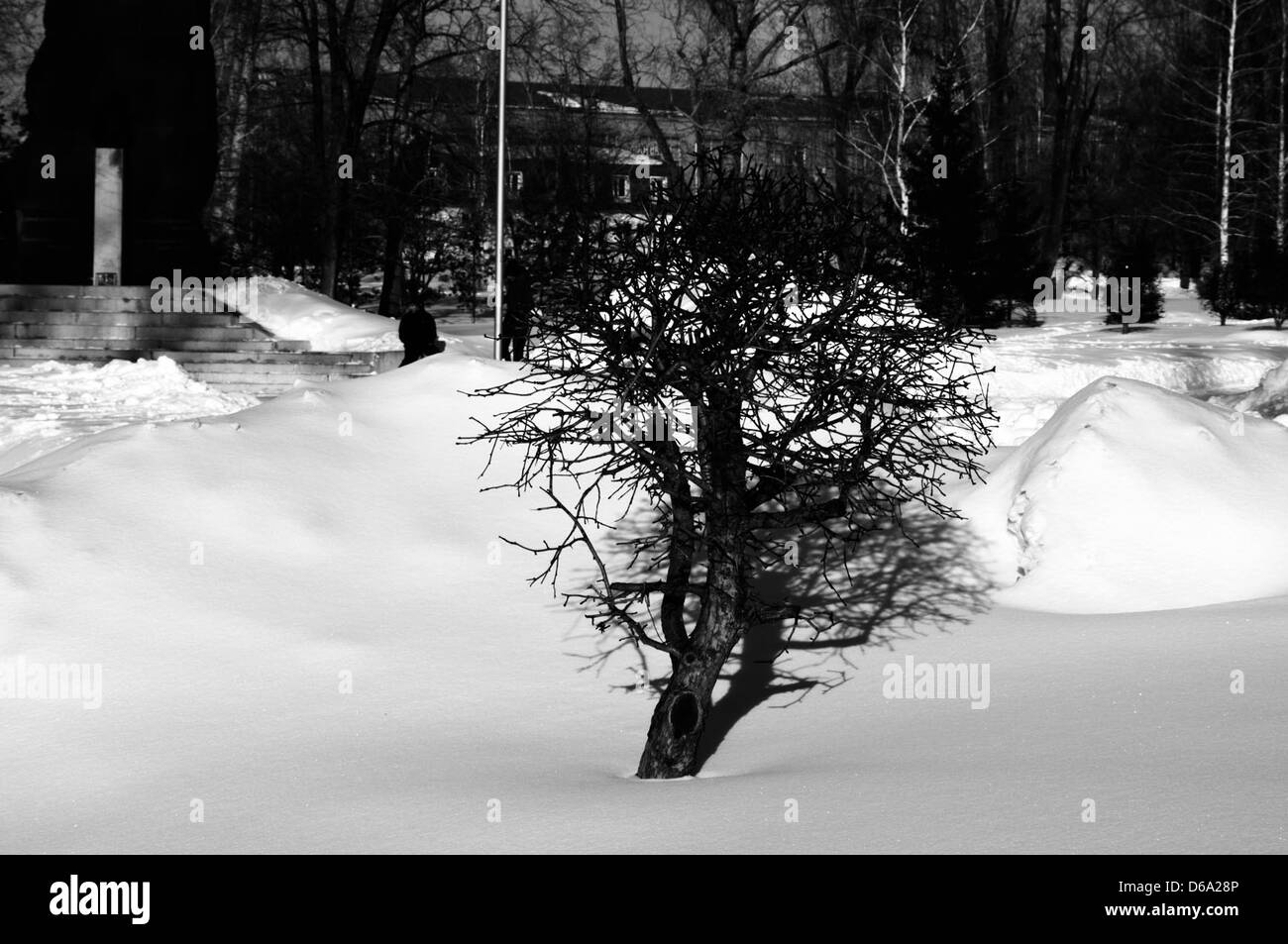 A snowy winter scene in Russia, showing the cold, harsh environment ...