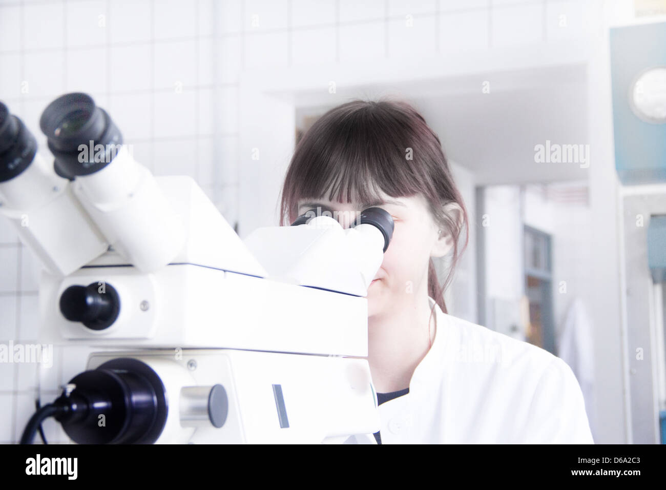 Scientist using microscope in lab Stock Photo - Alamy