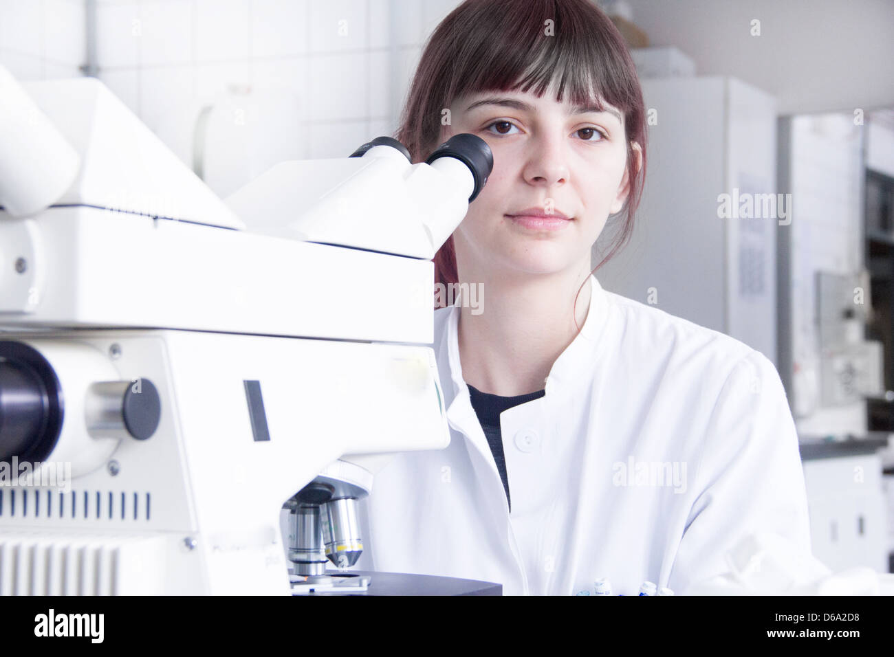 Scientist using microscope in lab Stock Photo - Alamy