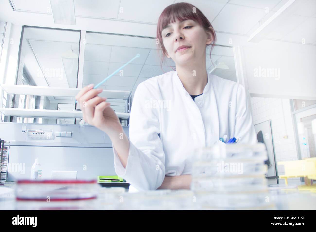 Scientist testing strip in lab Stock Photo - Alamy