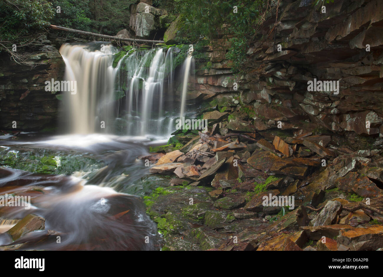 ELAKALA WATERFALLS BLACKWATER FALLS STATE PARK WEST VIRGINIA USA Stock ...