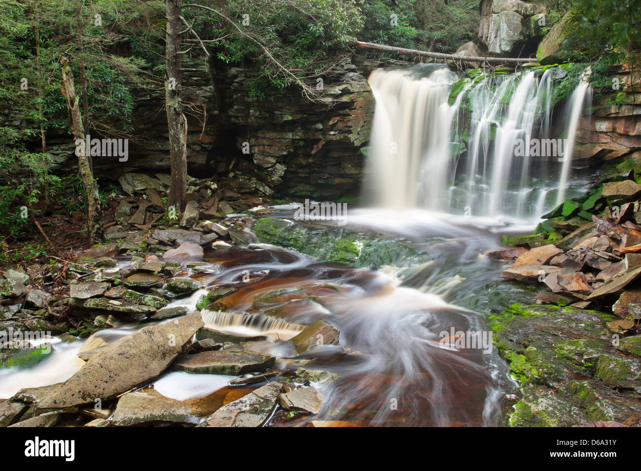 ELAKALA WATERFALLS BLACKWATER FALLS STATE PARK WEST VIRGINIA USA Stock ...