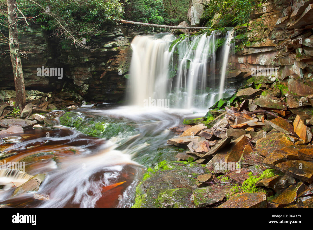 ELAKALA WATERFALLS BLACKWATER FALLS STATE PARK WEST VIRGINIA USA Stock ...