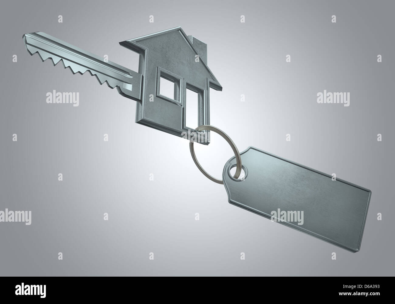 Silver key shaped like a house and a keychain unbranded for the logo ...