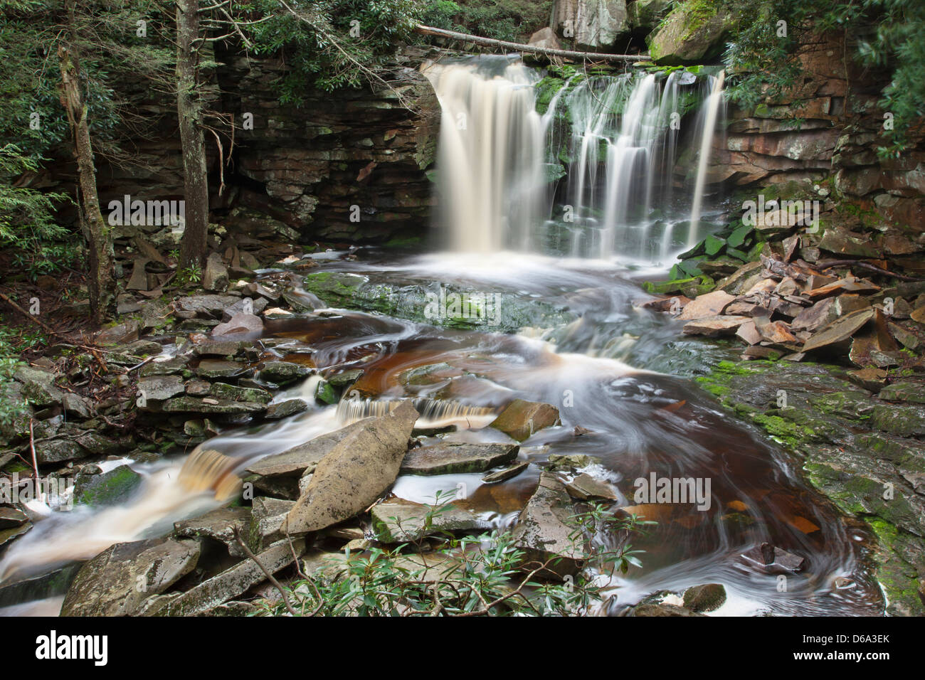 ELAKALA WATERFALLS BLACKWATER FALLS STATE PARK WEST VIRGINIA USA Stock ...