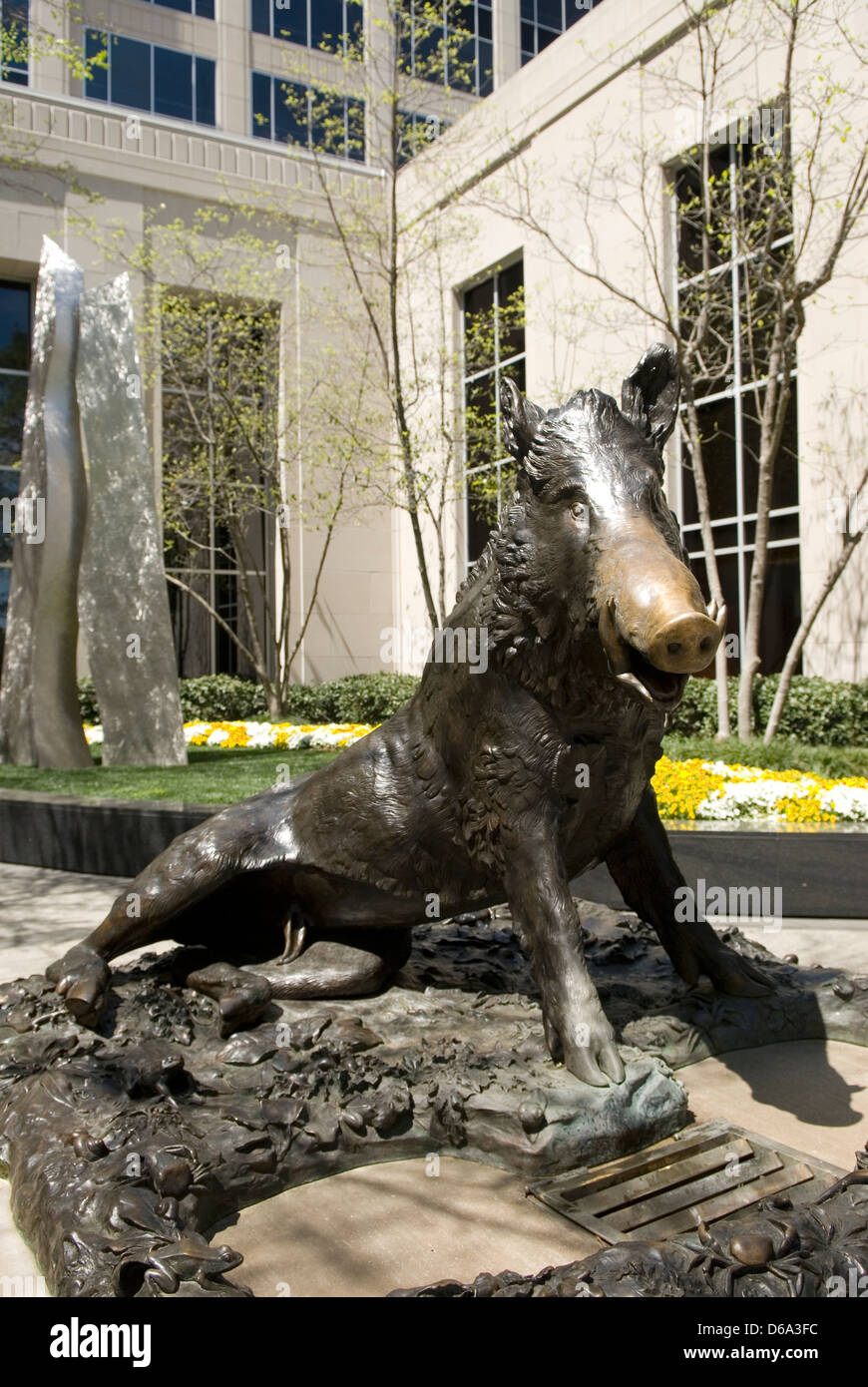 "11 Porcellino" The Original Wild Boar Statue Greenville, SC, USA Stock ...