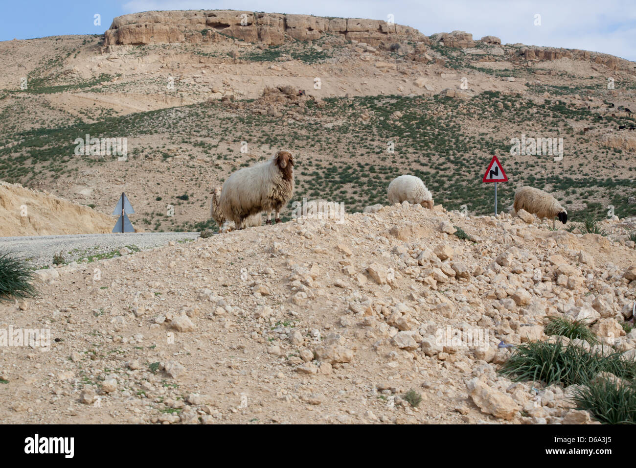 Dry and barren desert from Jordan, with hills and valleys and little ...