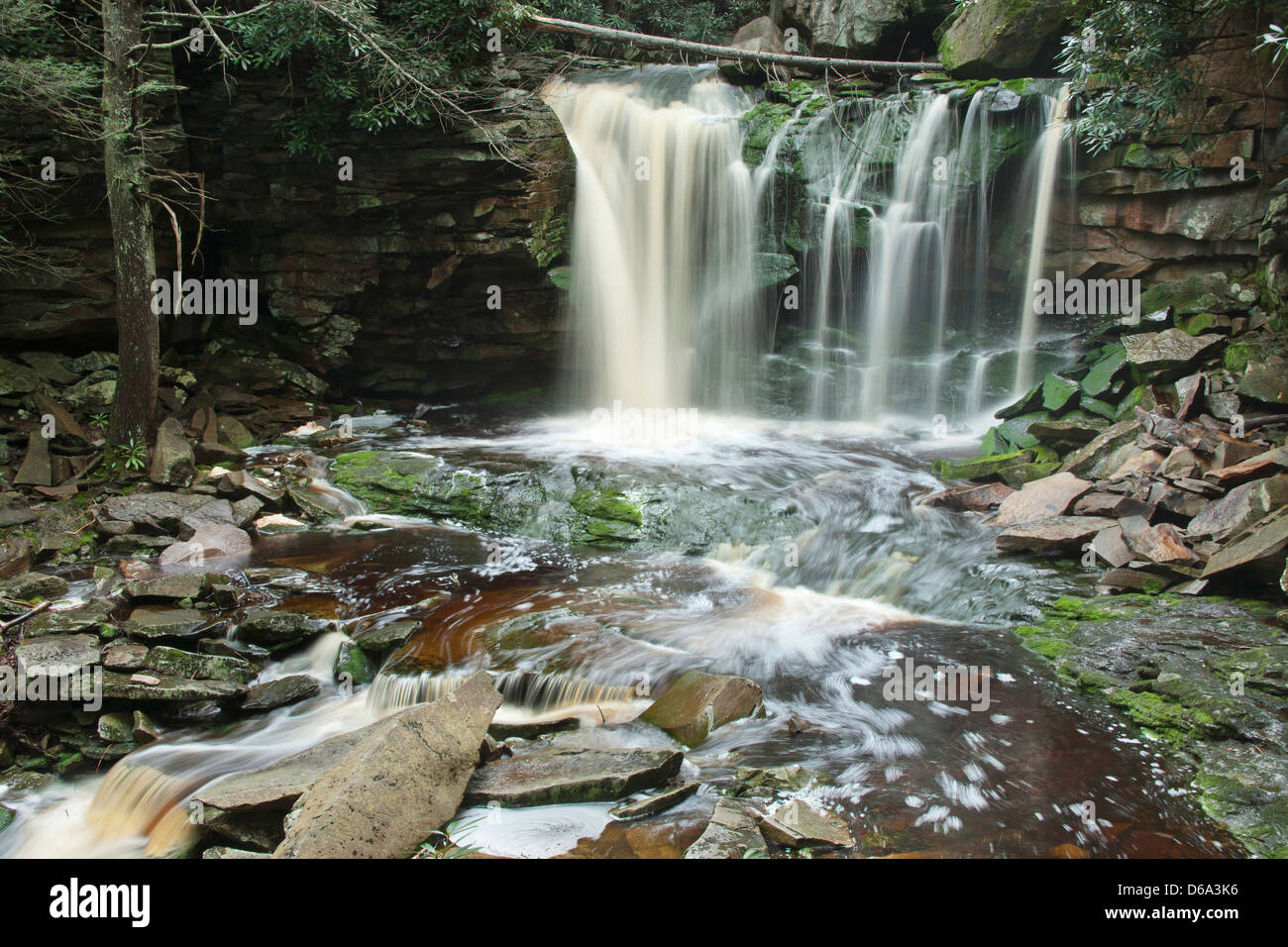 ELAKALA WATERFALLS BLACKWATER FALLS STATE PARK WEST VIRGINIA USA Stock ...