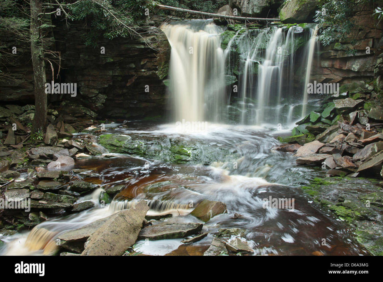 ELAKALA WATERFALLS BLACKWATER FALLS STATE PARK WEST VIRGINIA USA Stock ...