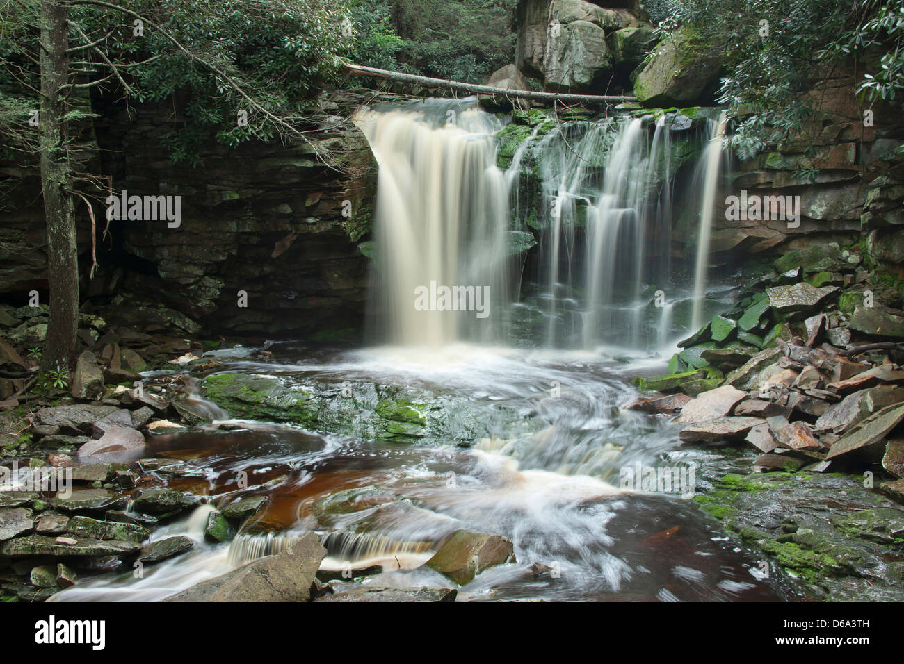 ELAKALA WATERFALLS BLACKWATER FALLS STATE PARK WEST VIRGINIA USA Stock ...