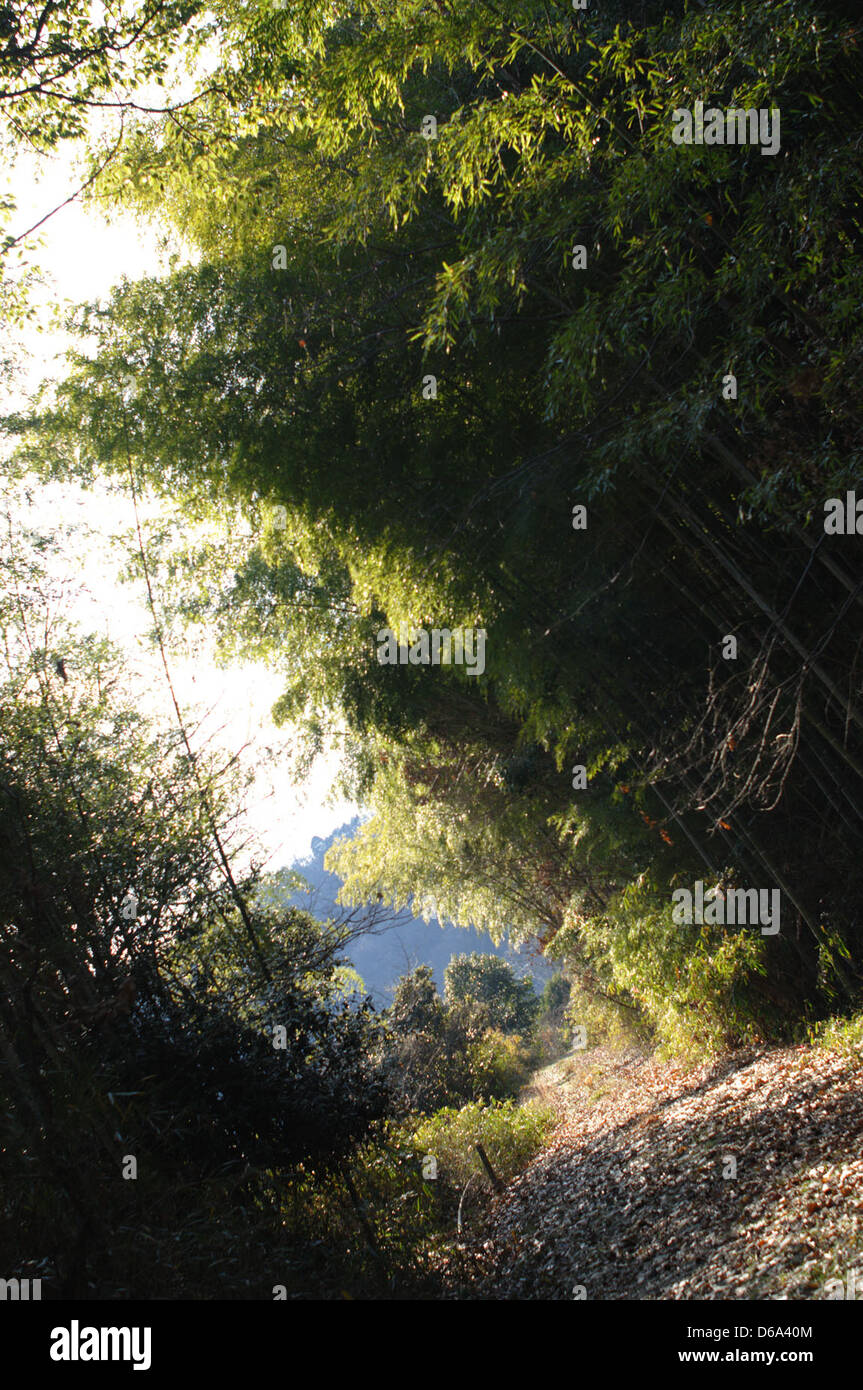 Haisen hi-res stock photography and images - Alamy