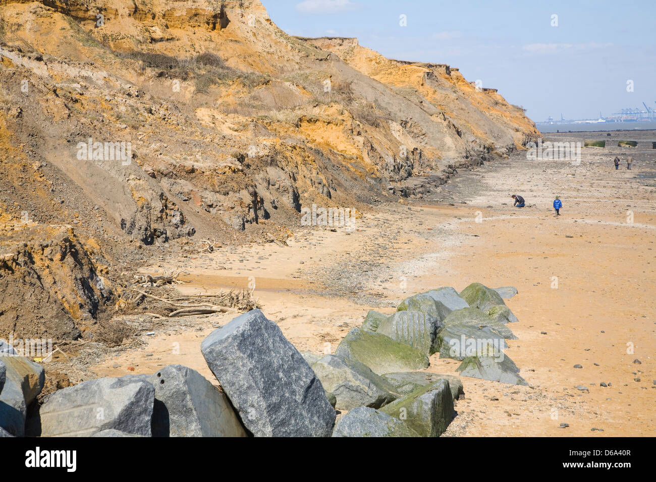 Rapidly eroding soft cliffs at Walton on the Naze, Essex, England Stock ...