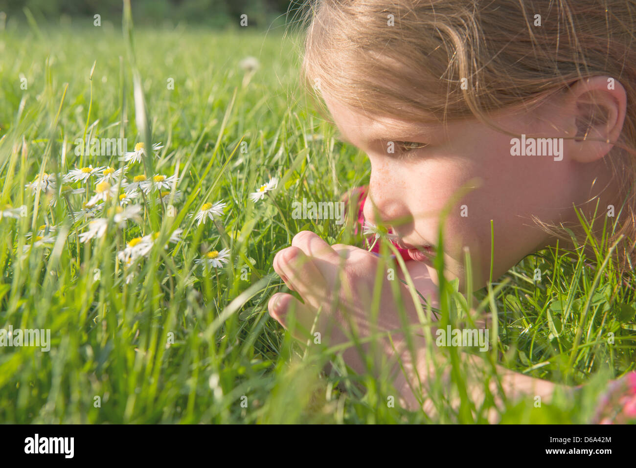 Girl laying in grassy field Stock Photo - Alamy