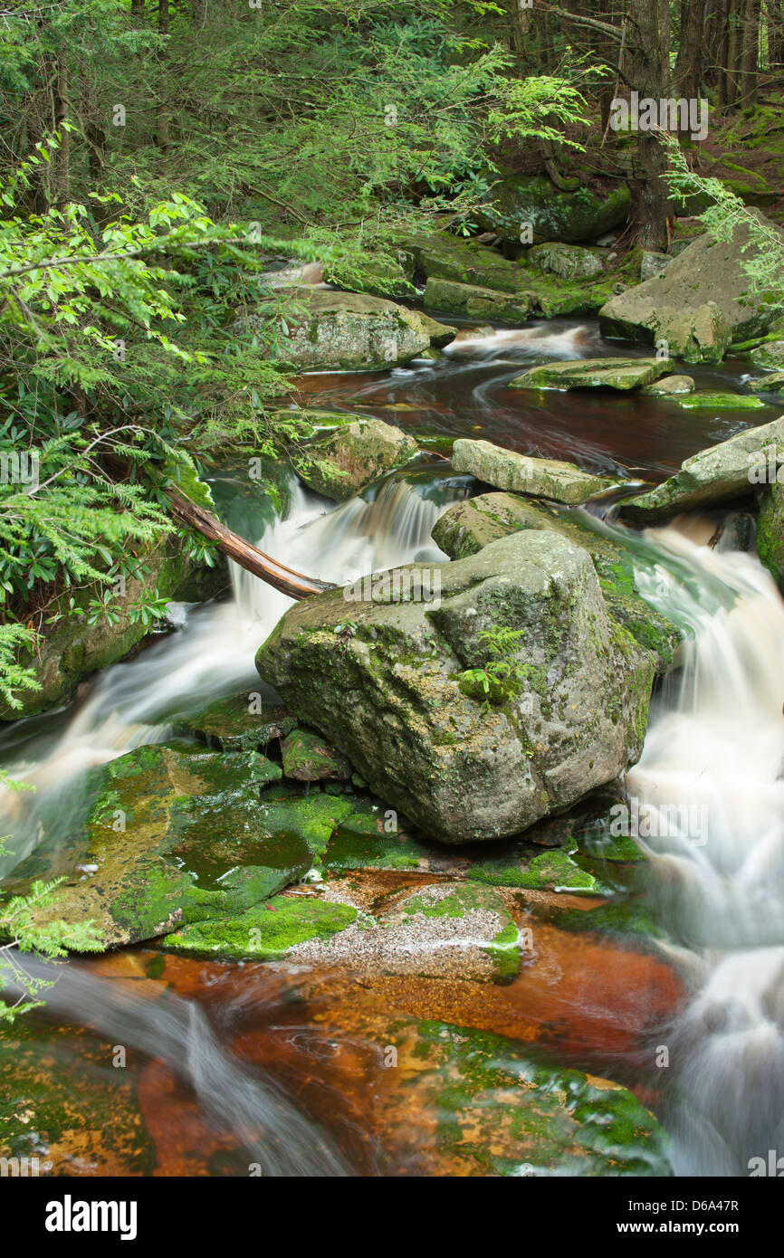 ROCKS IN RIVER ABOVE ELAKALA WATERFALLS BLACKWATER FALLS STATE PARK ...