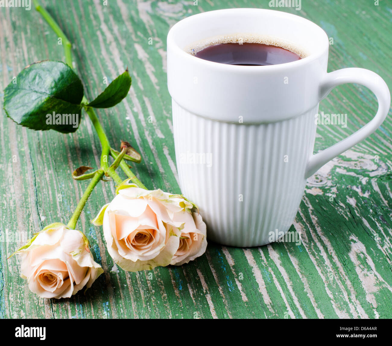 Sprig of roses hi-res stock photography and images - Alamy