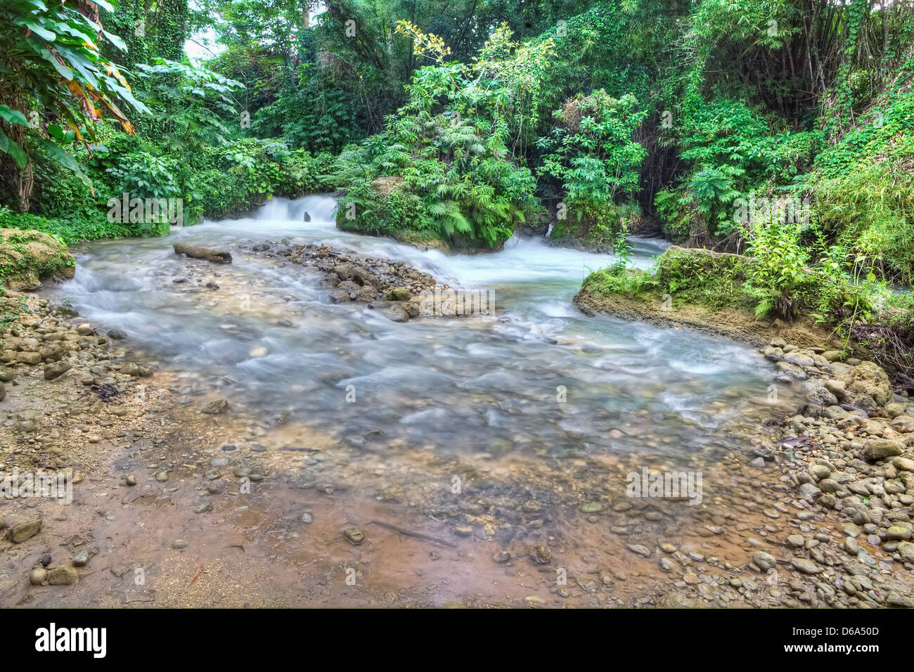 Beautiful river in Jamaica, Caribbean Stock Photo - Alamy