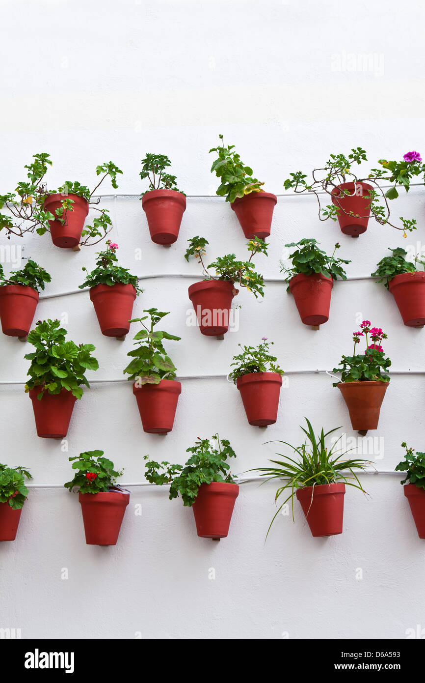 Pending flowers hi-res stock photography and images - Alamy