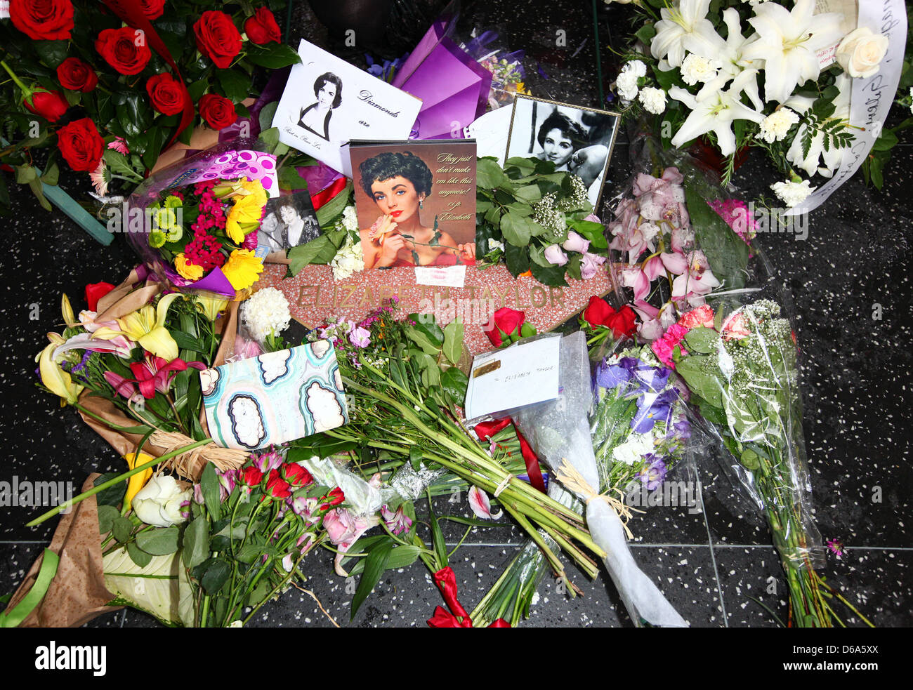 Elizabeth Taylor Flowers placed on Elizabeth Taylor's Hollywood Star ...