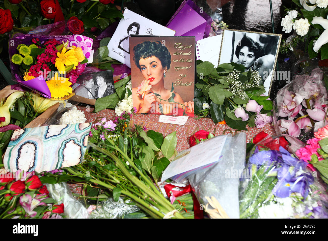 Elizabeth Taylor Flowers placed on Elizabeth Taylor's Hollywood Star ...