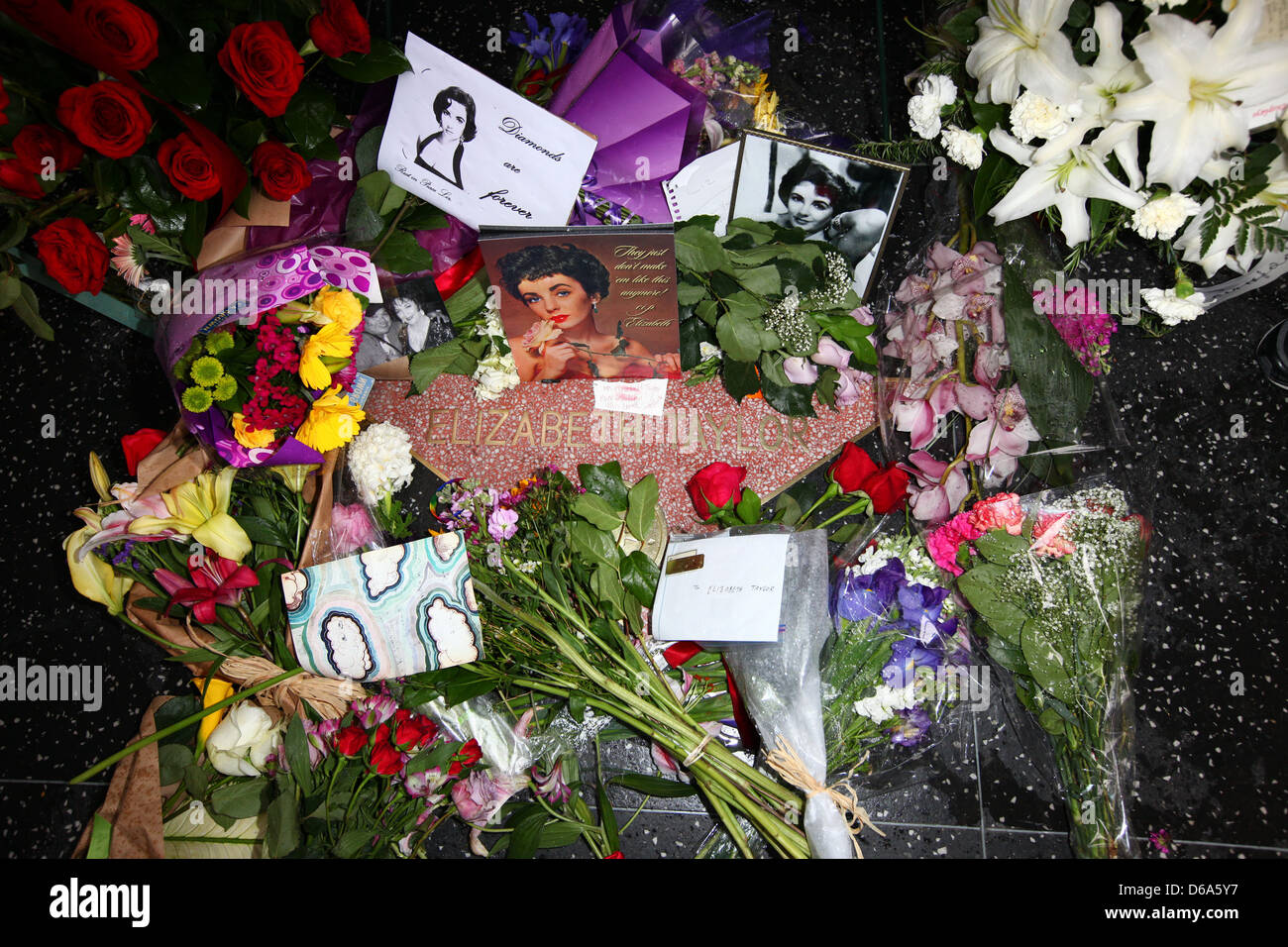 Elizabeth Taylor Flowers placed on Elizabeth Taylor's Hollywood Star ...