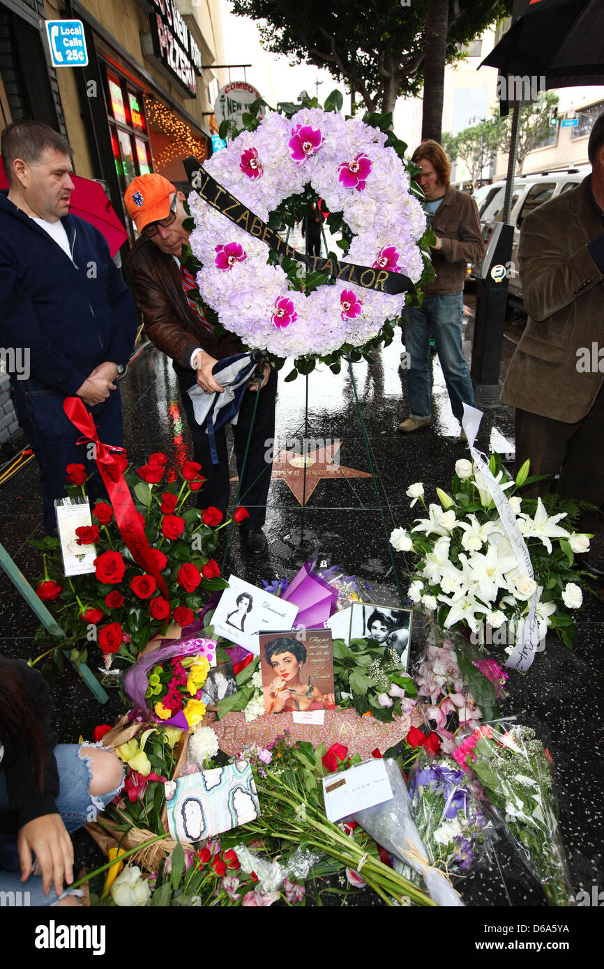Elizabeth Taylor Flowers placed on Elizabeth Taylor's Hollywood Star ...