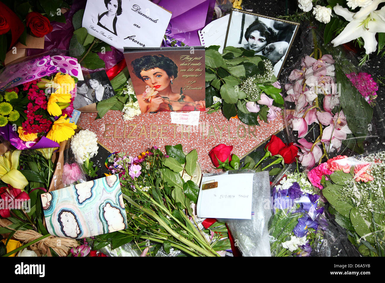 Elizabeth Taylor Flowers placed on Elizabeth Taylor's Hollywood Star ...