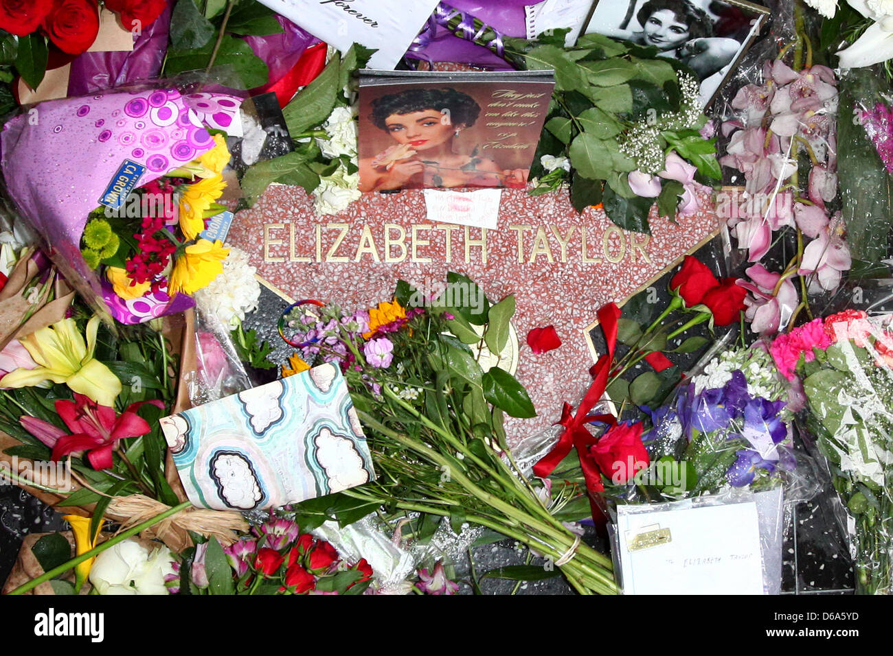 Elizabeth Taylor Flowers placed on Elizabeth Taylor's Hollywood Star ...