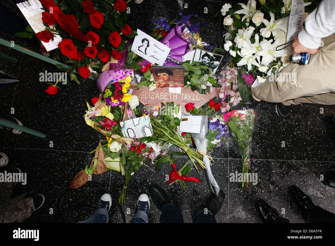 Elizabeth Taylor Flowers placed on Elizabeth Taylor's Hollywood Star ...