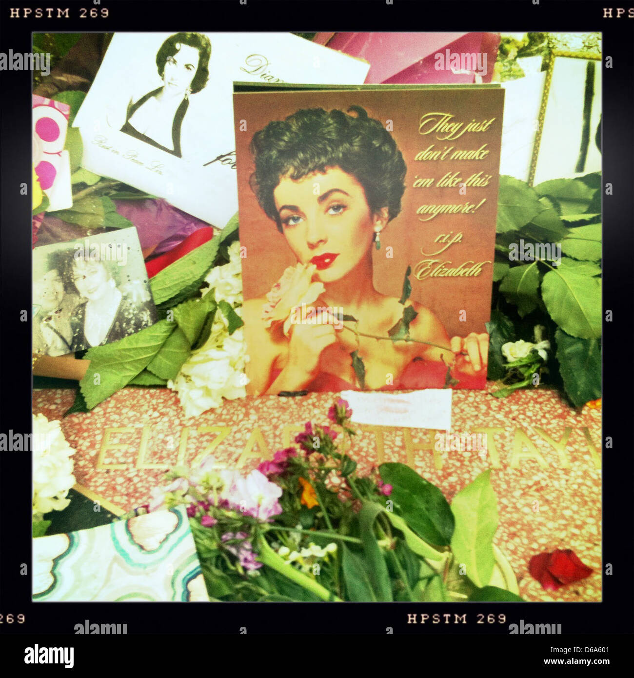 Elizabeth Taylor Flowers placed on Elizabeth Taylor's Hollywood Star ...