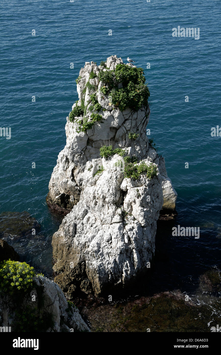 Small rock stack in the Mediterranean Sea Antibes, France Stock Photo ...