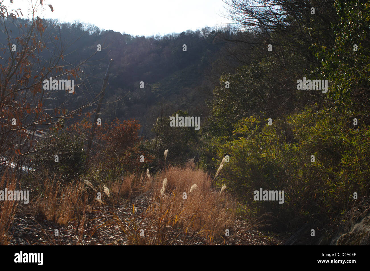 The Kabe Line, located in North Hiroshima Prefecture, Japan, is ...