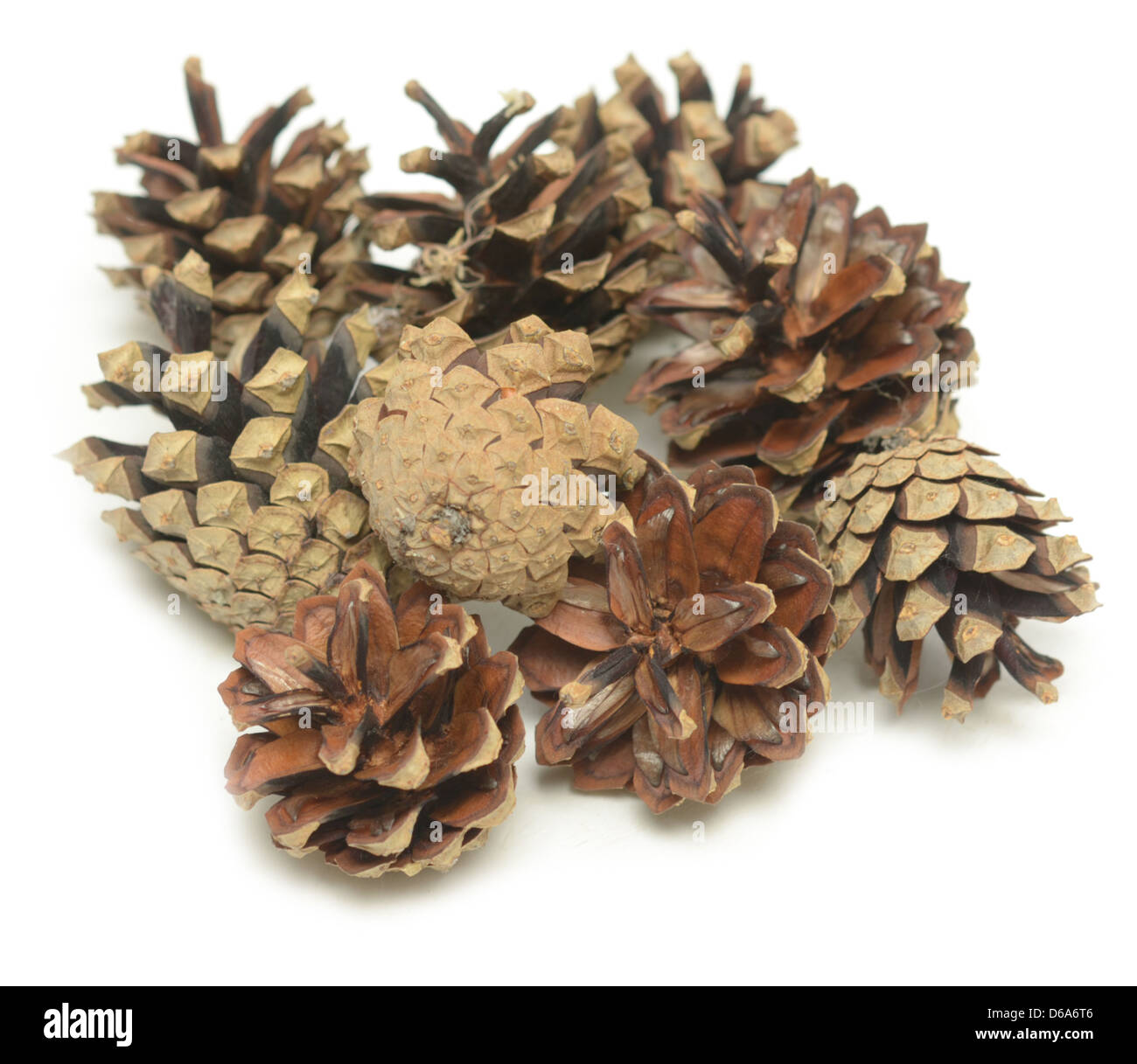 Stack of cones Cut Out Stock Images & Pictures - Alamy