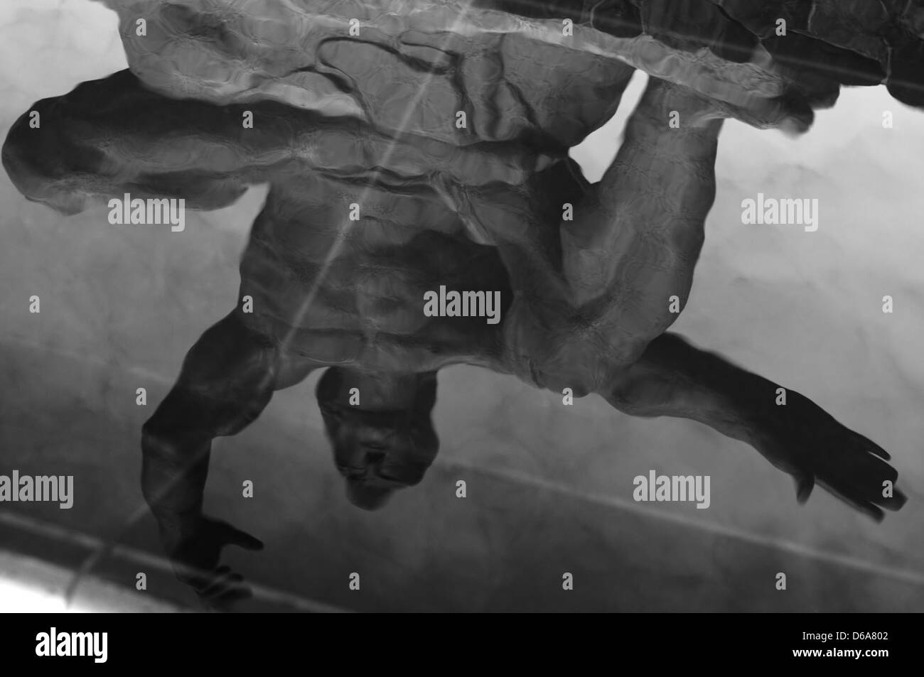 A historical photograph from 1945 depicting significant events. This ...