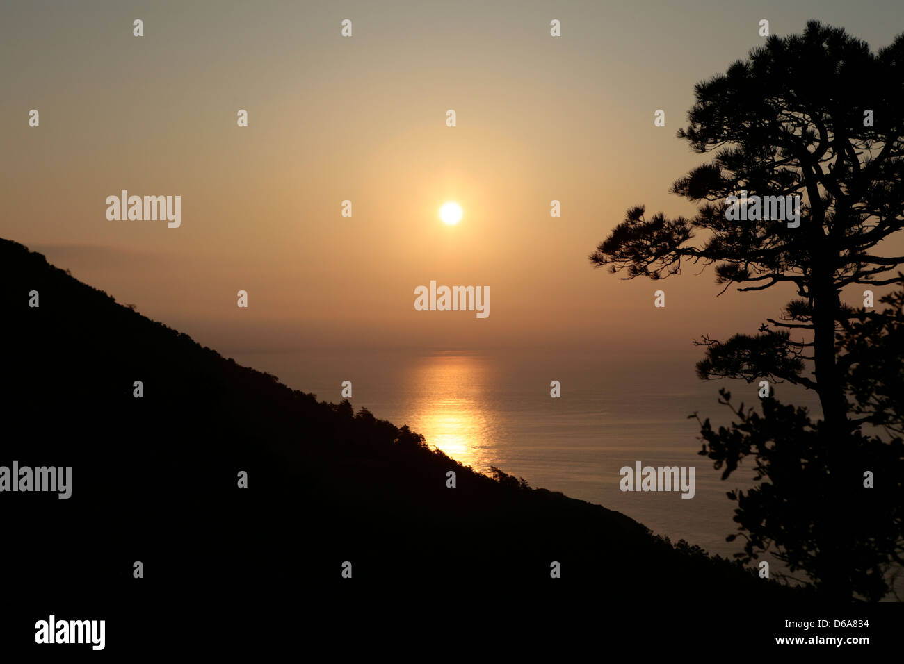 Sun Rise over sloping cliff with tree in silhouette Stock Photo - Alamy