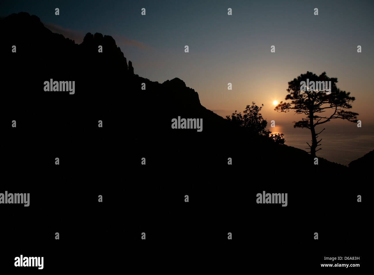 Sun Rise over sloping cliff with tree in silhouette Stock Photo - Alamy