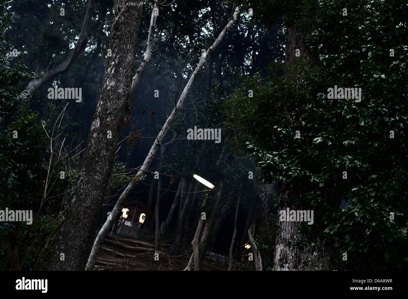 This image captures a beautiful natural scene, featuring a serene ...