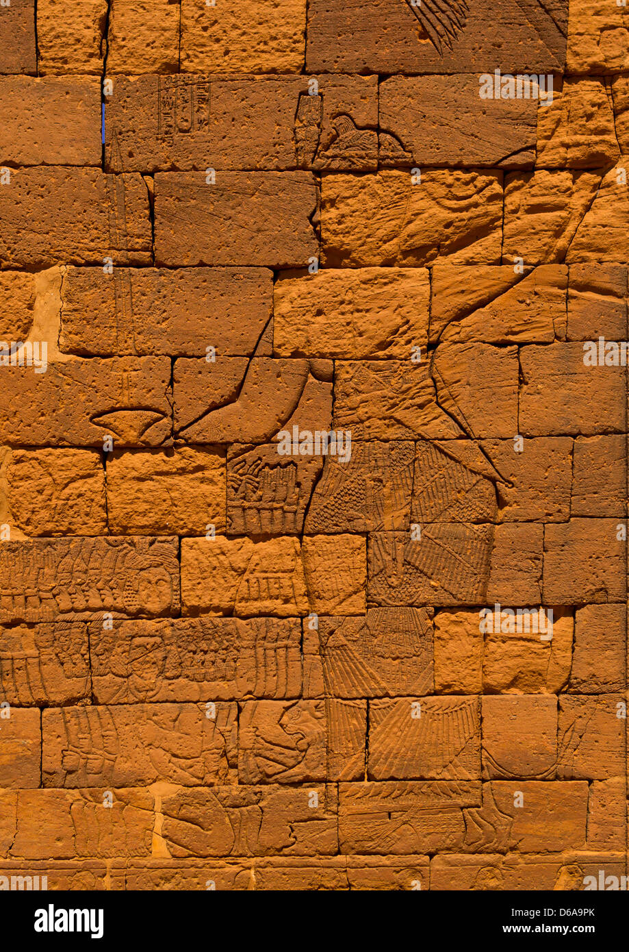 Amanitore hi-res stock photography and images - Alamy