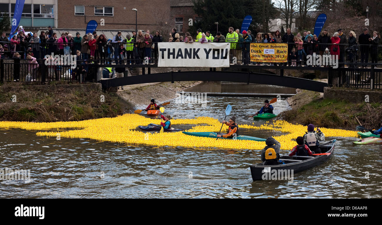 spectators line the route to watch thousands of plastic ducks in a race ...