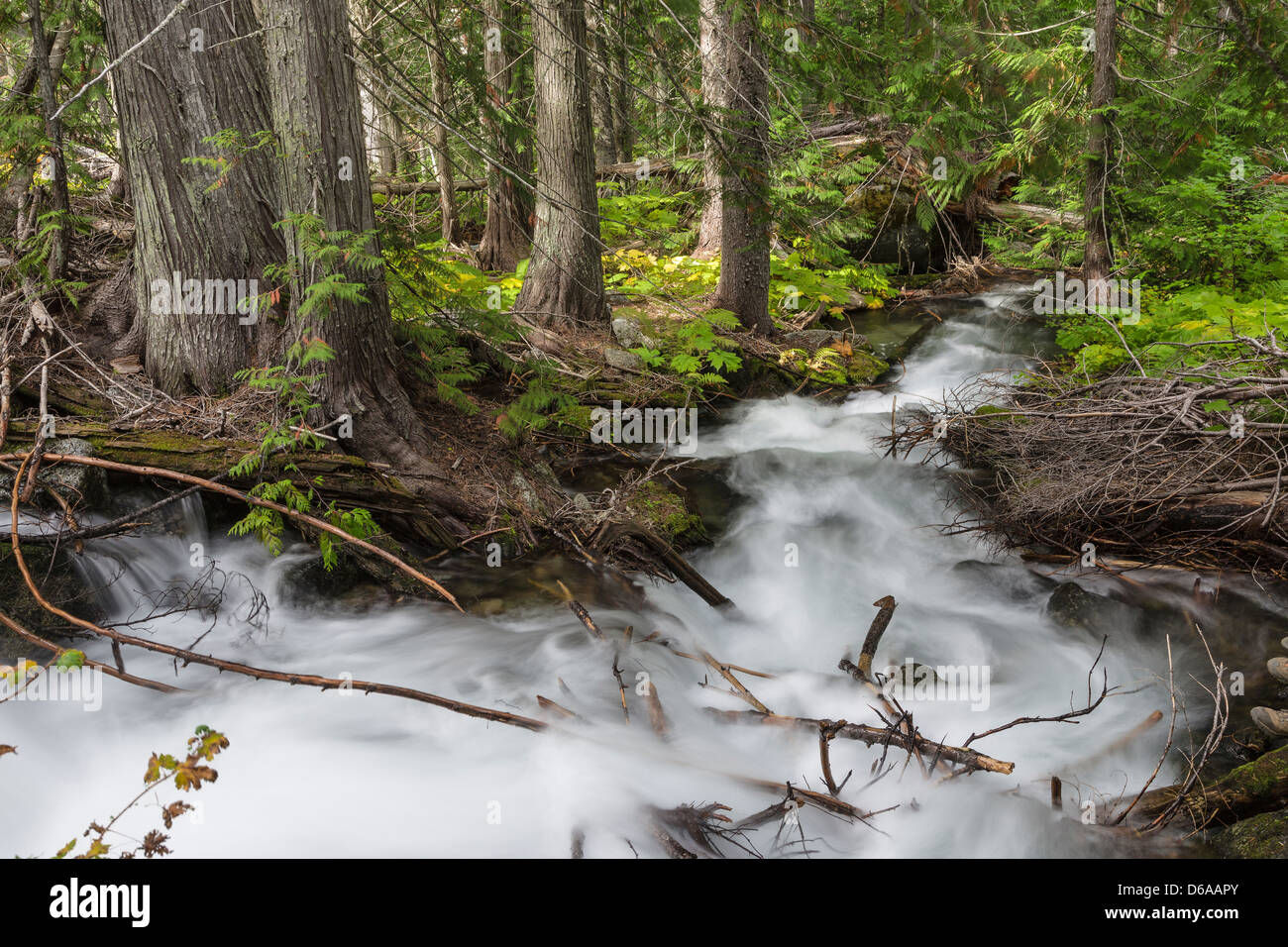 Snow Creek along the Snow Lakes Trail into The Enchantments, Cascade ...