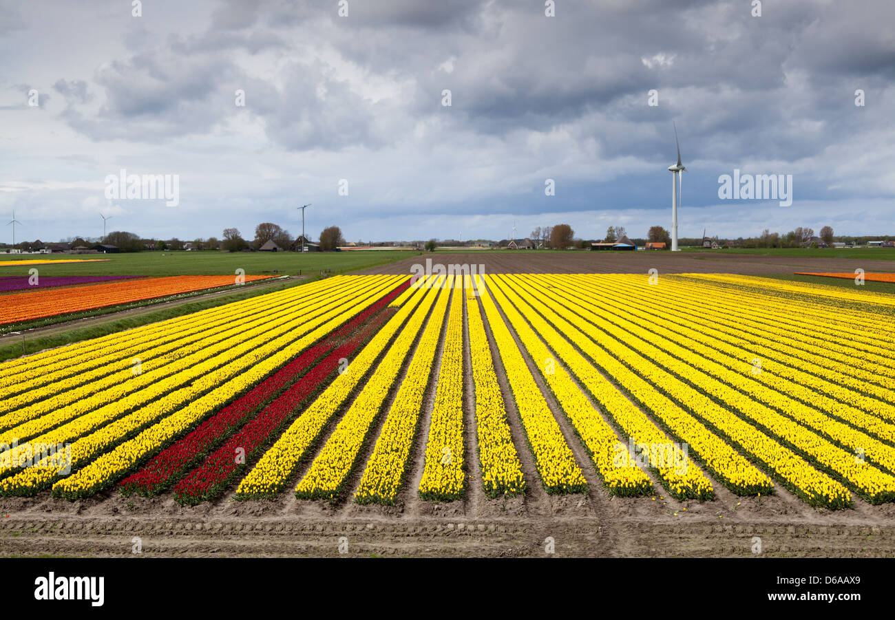 Wide field view hi-res stock photography and images - Alamy