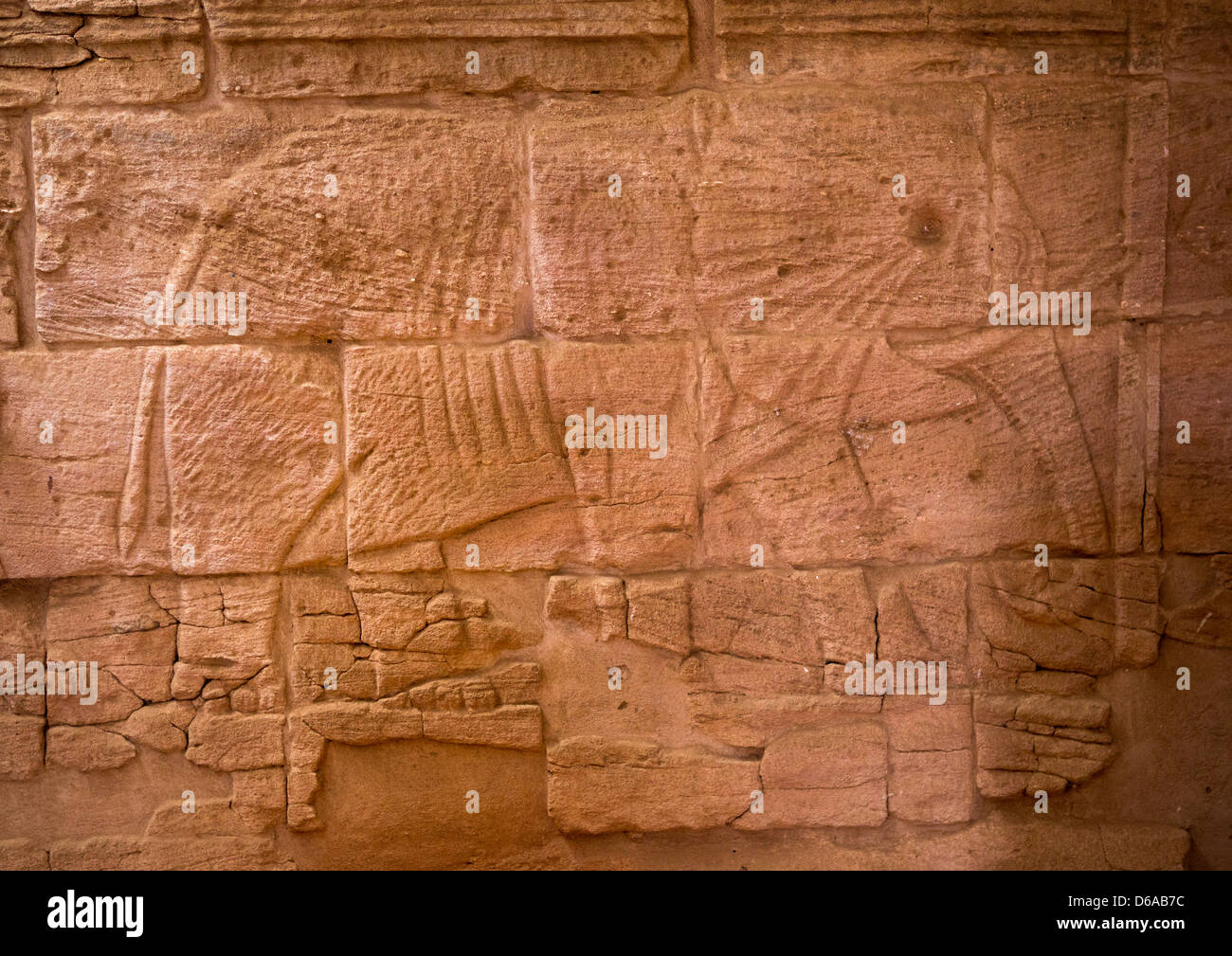 Elephant Relief, Interior Of The Lion Temple In Musawwarat Es-sufra ...