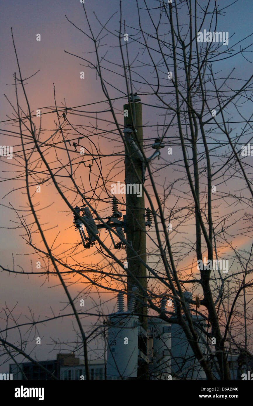 Utility pole with electrical power lines and distribution transformers ...
