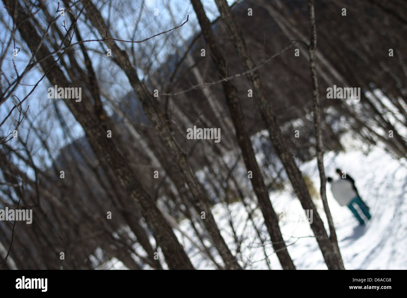 This image captures the scenic beauty of Nagano Prefecture in Japan ...