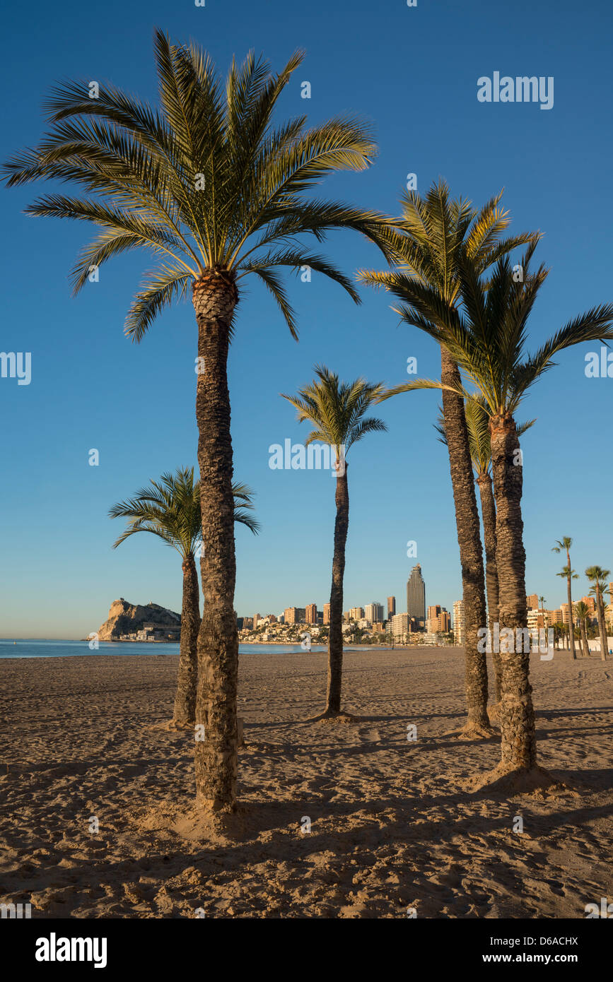 Poniente beach at sunrise Stock Photo - Alamy