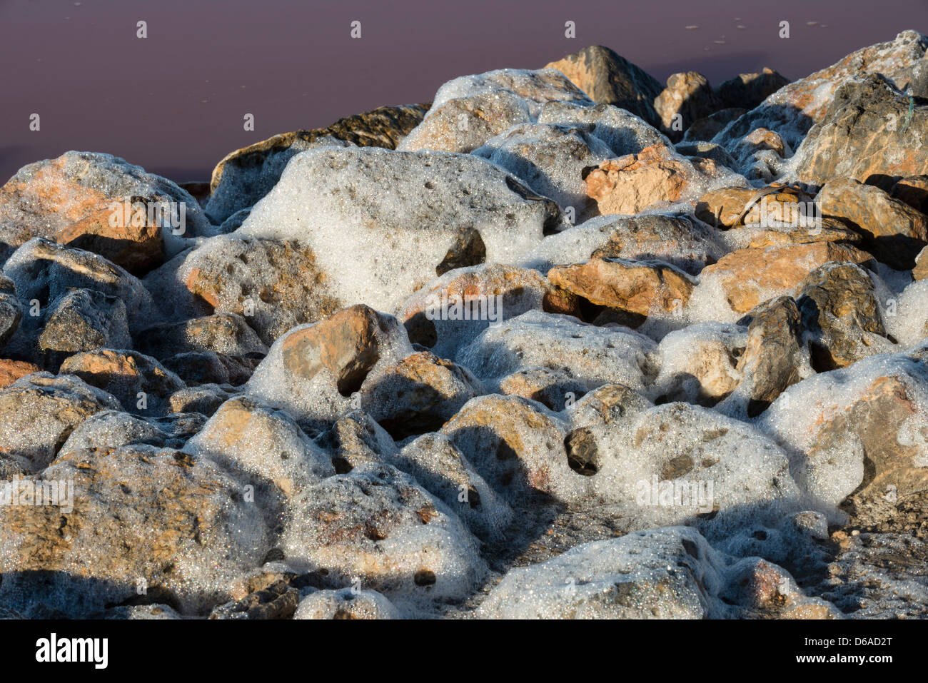 Foamy salt water hi-res stock photography and images - Alamy