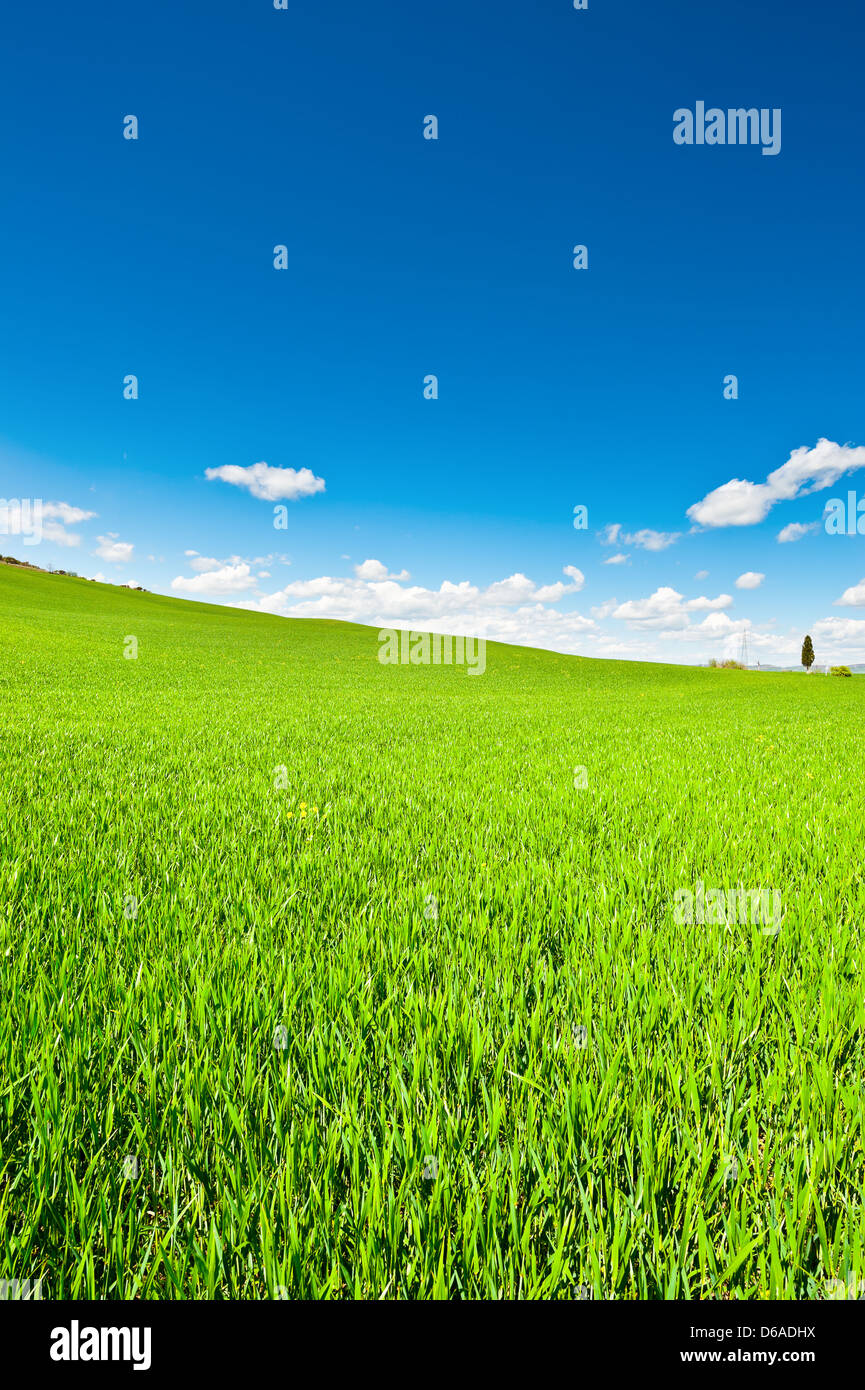 Green Meadows Stock Photo - Alamy
