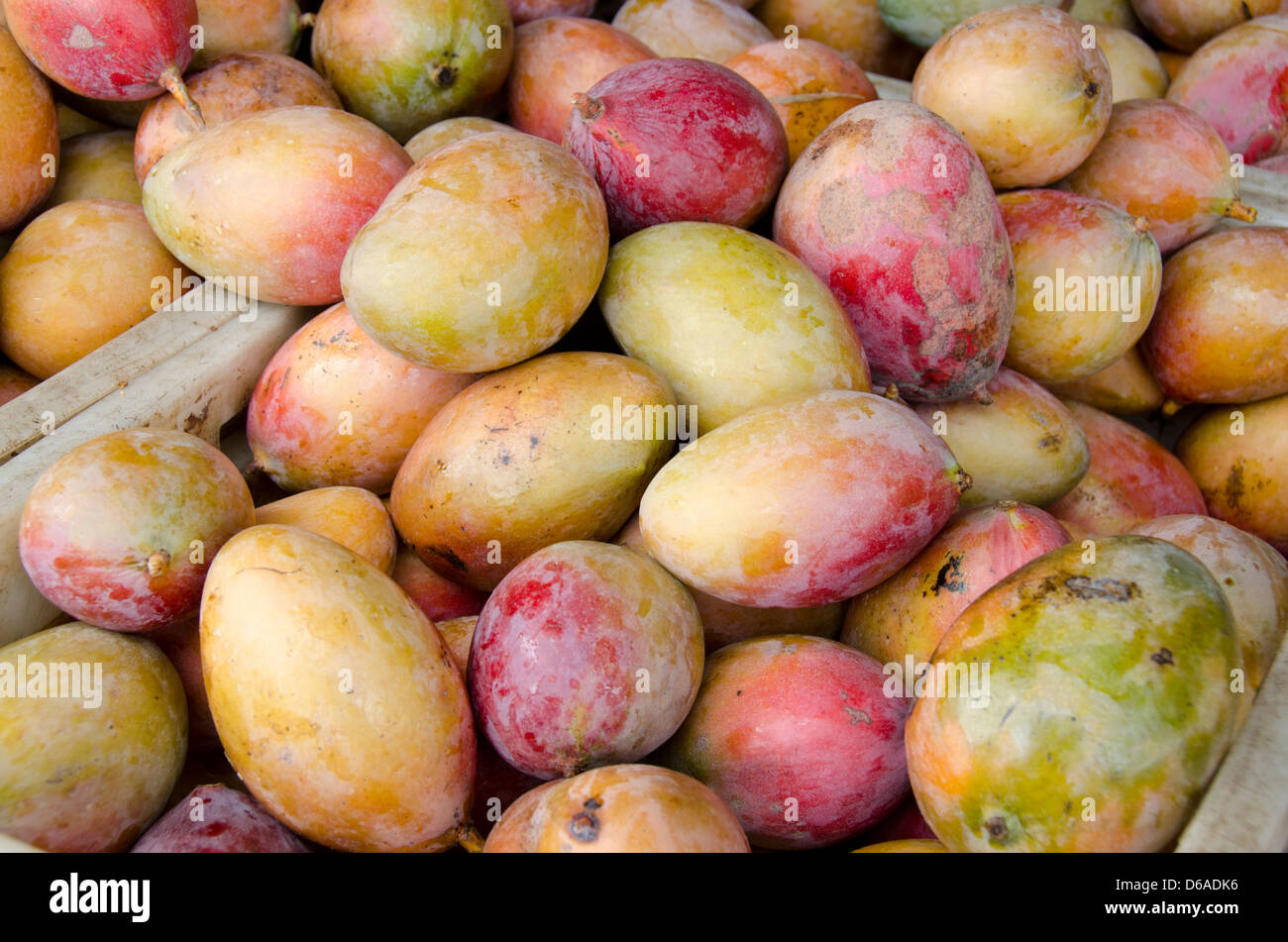 Brazil, Amazon, Manaus. Municipal Market (aka Iron Market or the ...