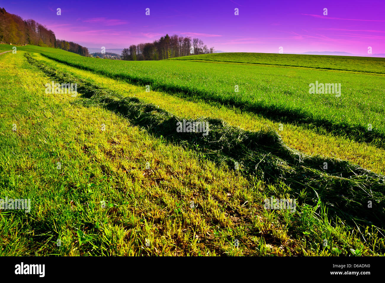 New mown meadow hi-res stock photography and images - Alamy