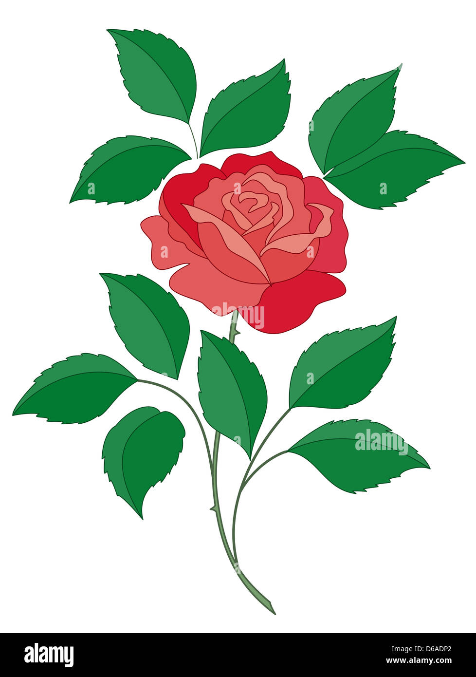 May rose Cut Out Stock Images & Pictures - Alamy